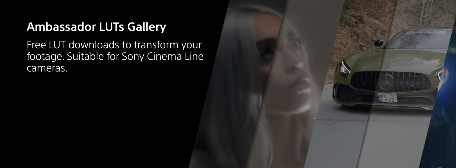 Sony Pro Filmmaking ambassador LUTS - Jenny Alice Films